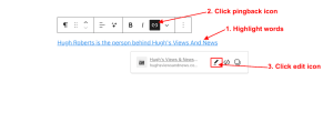 WordPress: 'Open In New Tab' Box - Where Is It?